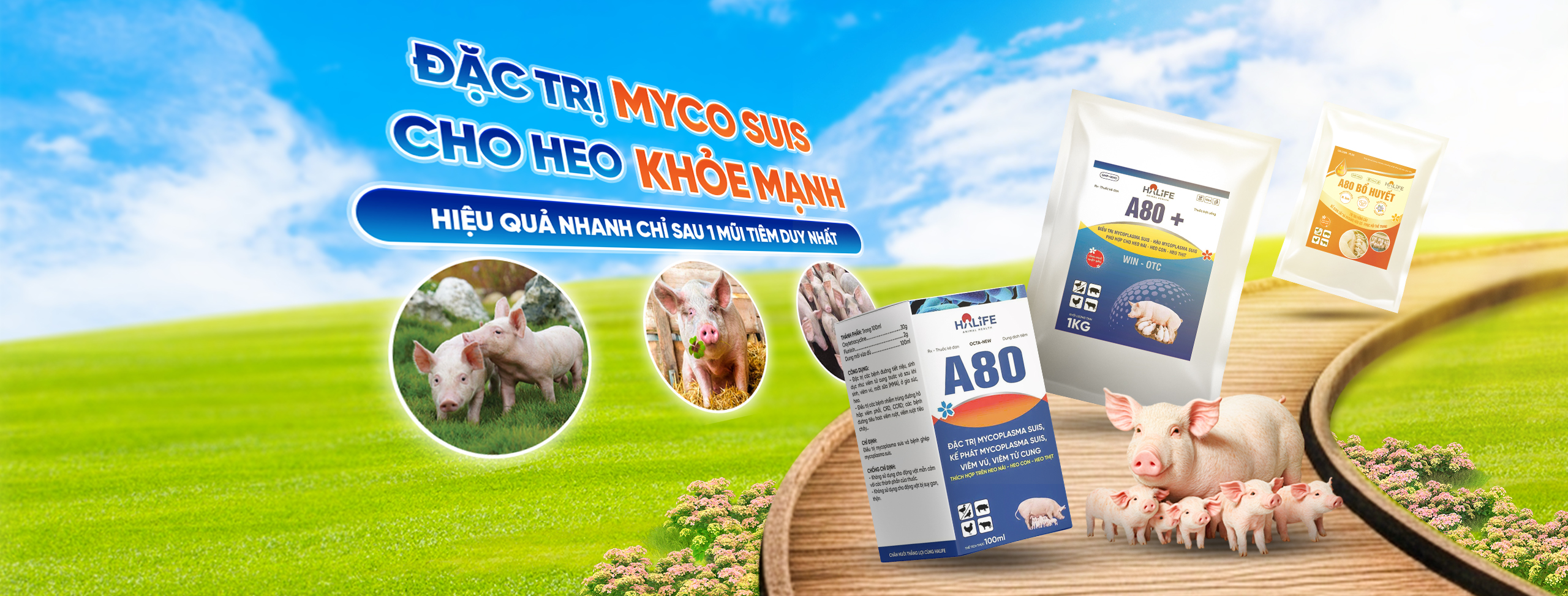 HALIFE - Công ty TNHH công nghệ sinh học Halife